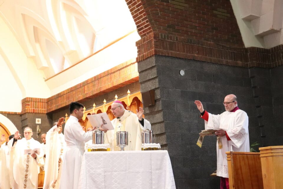 Sacramentum: The oil that never runs dry - Catholic Archdiocese of ...