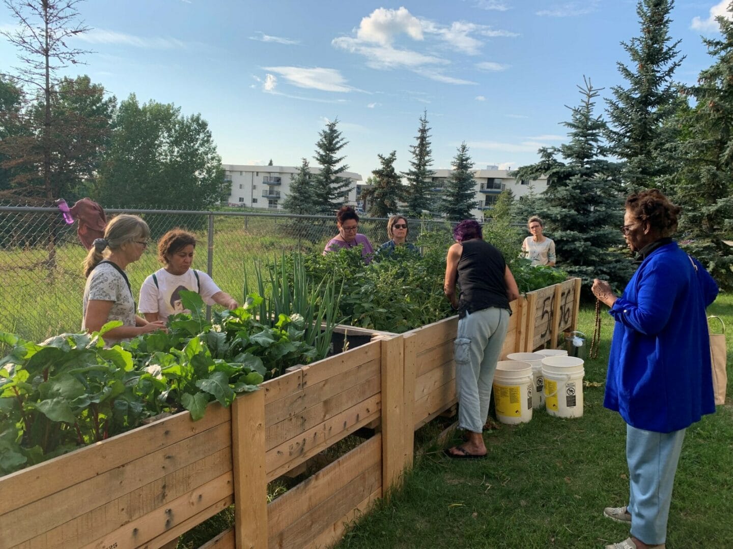 Growing vegetables, growing community - Catholic Archdiocese of Grouard ...